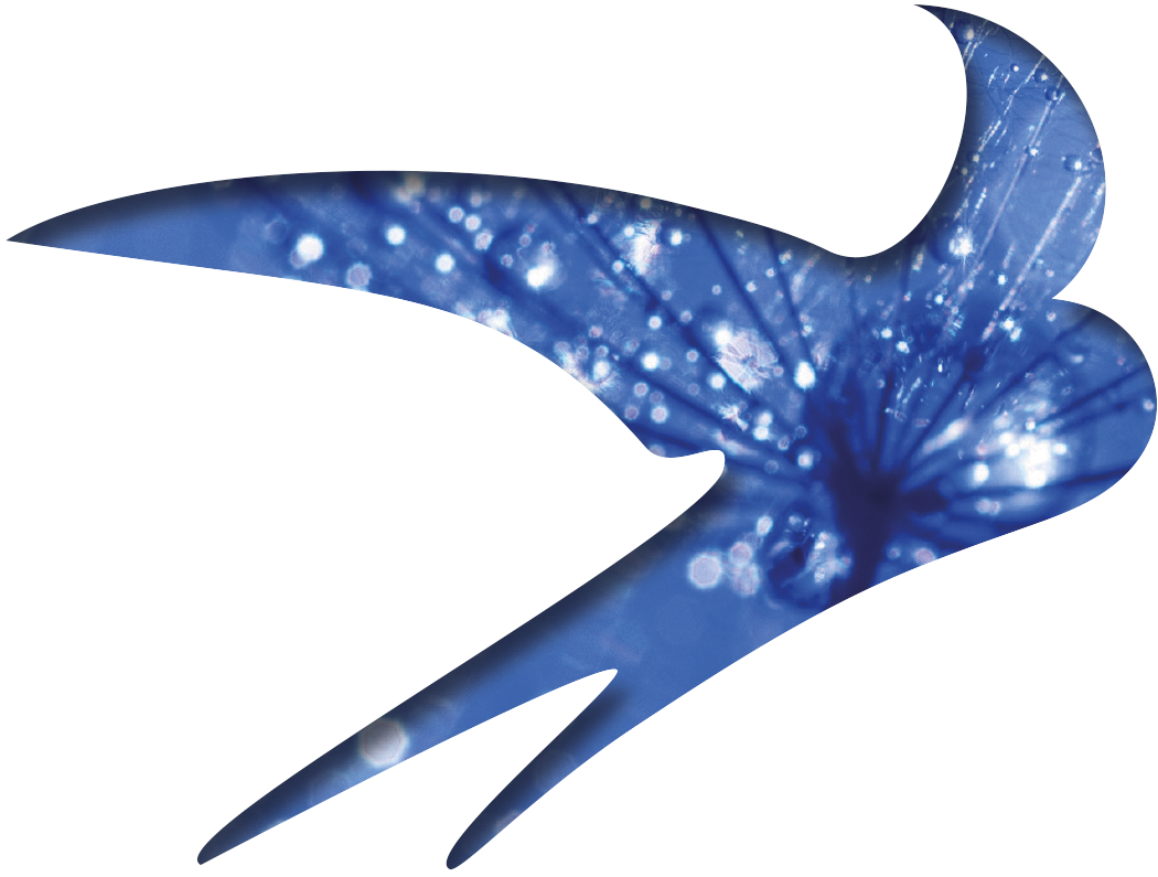 Repinex XL – Patient Information – Aspire Pathway Porfolio