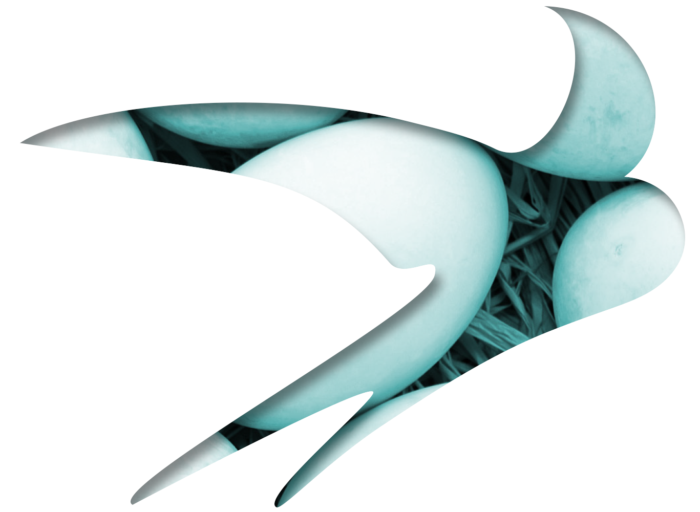 CNS Range – Aspire Pathway Portfolio