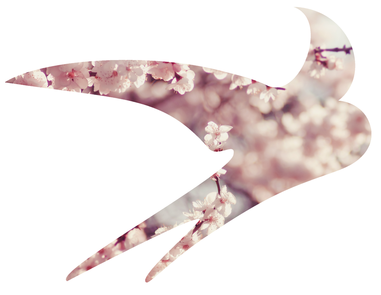 Combisal – Patient Information – Aspire Pathway Porfolio