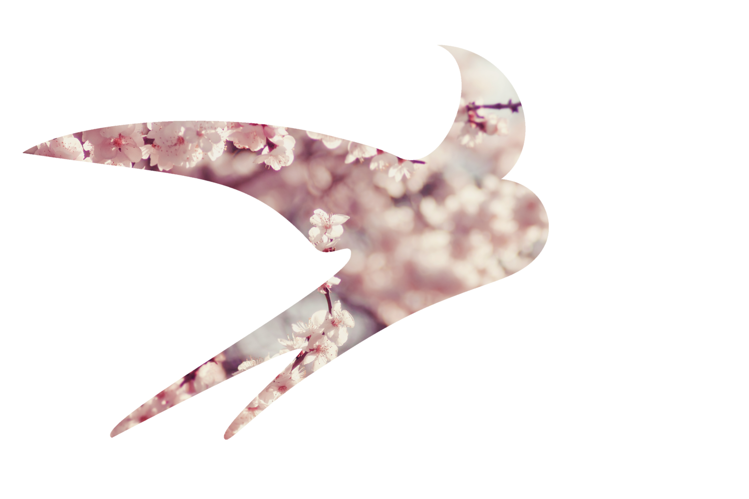 Respiratory – Aspire Pathway Portfolio